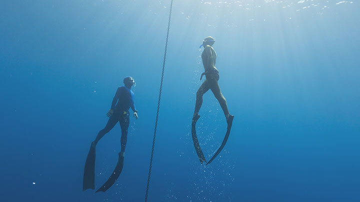 divers-with-line – SWIMTRAVEL PH / Swimming Lessons for Adults ALL YEAR ...