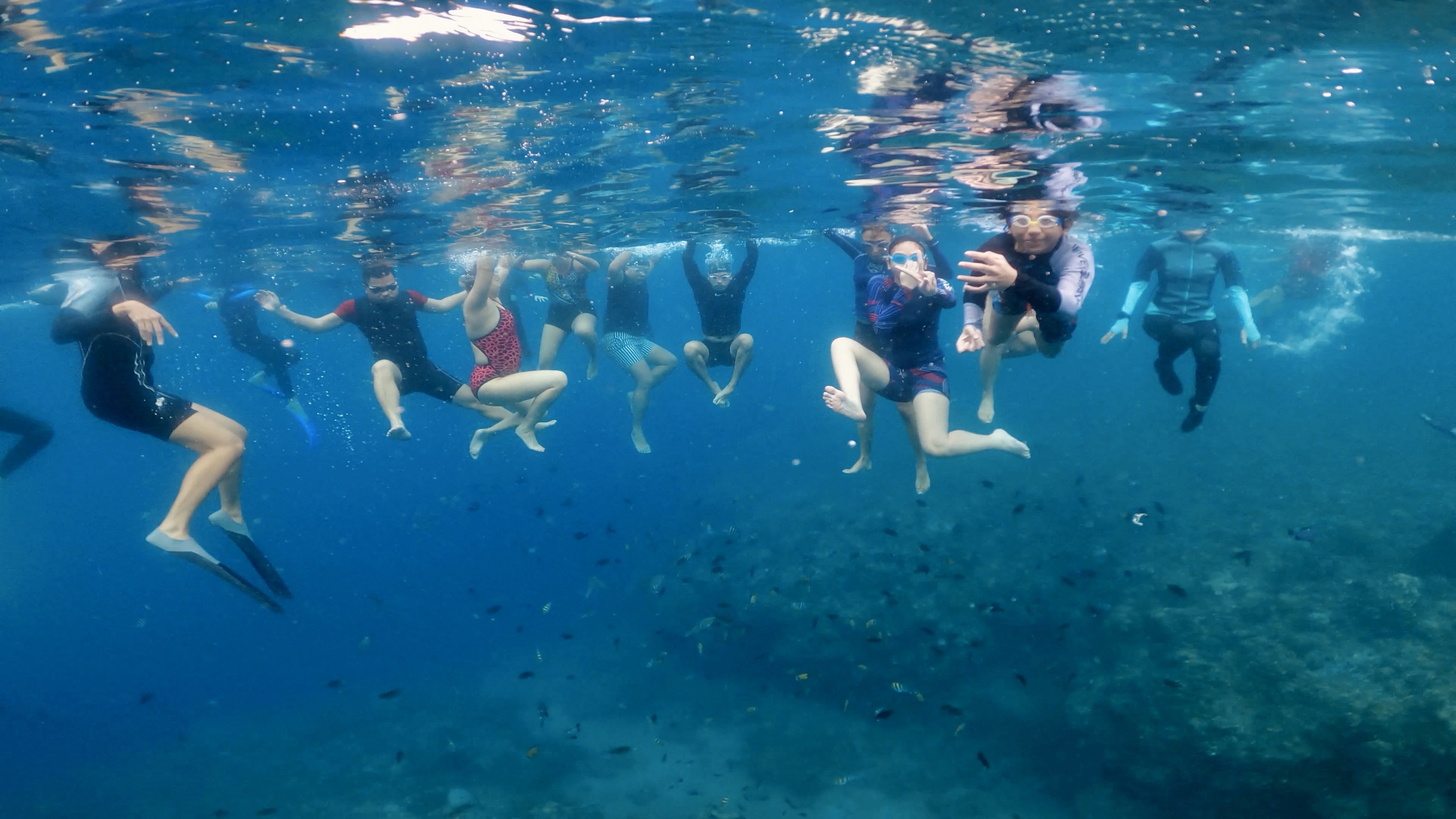 Open Water Survival Course – ADULT SURVIVAL SWIMMING LESSONS