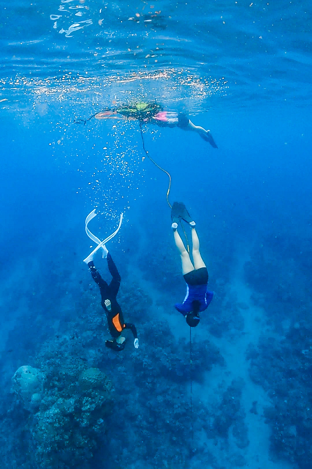 OPEN WATER SKINDIVE TRAINING – SWIMTRAVEL PH – #1 Adult Swim Lessons ...