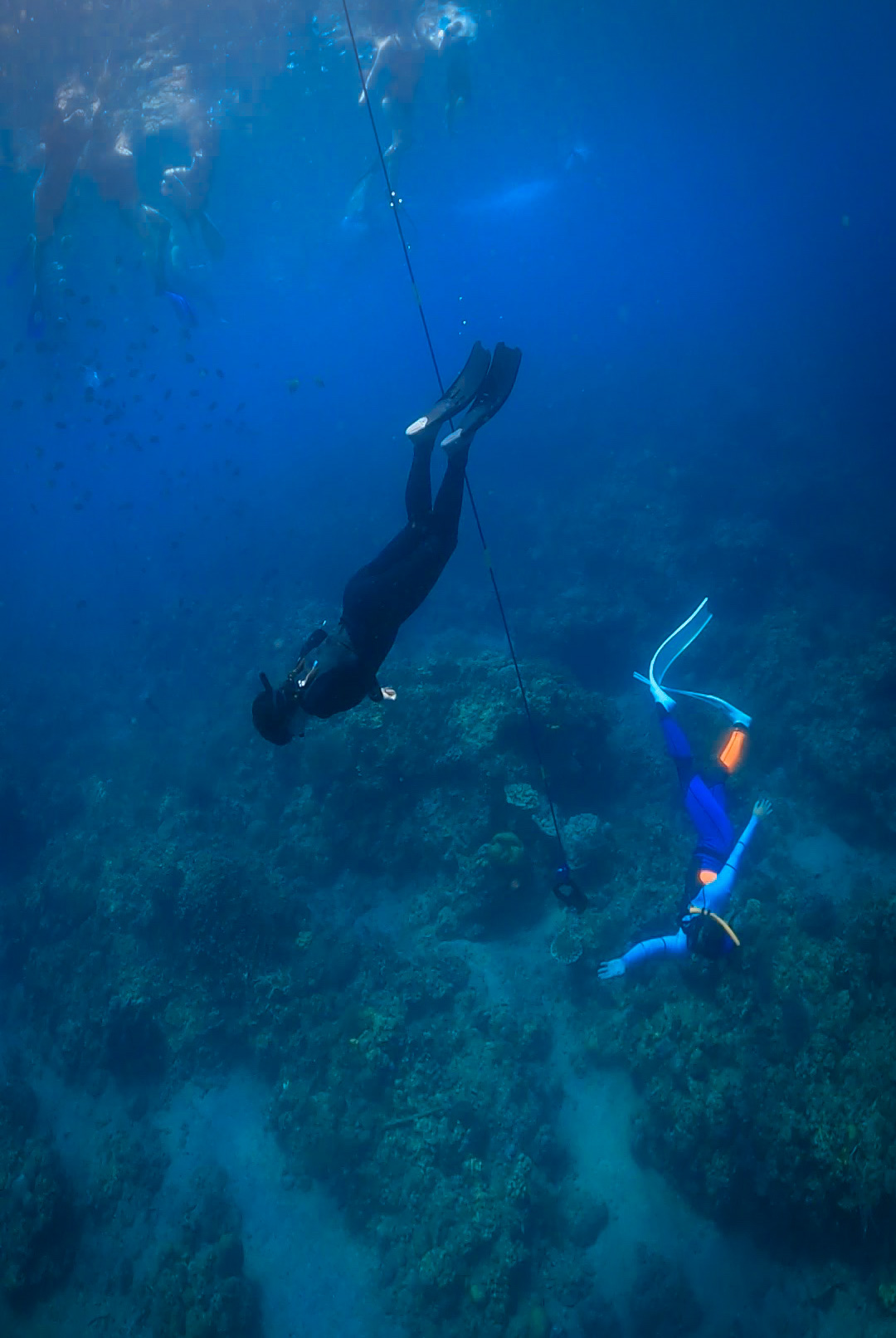 OPEN WATER SKINDIVE TRAINING – SWIMTRAVEL PH – #1 Adult Swim Lessons ...